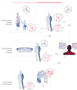 Electronic Monitoring System - Enigma
